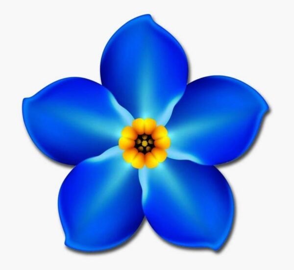 How Are You Lincolnshire | Sleaford Dementia Support